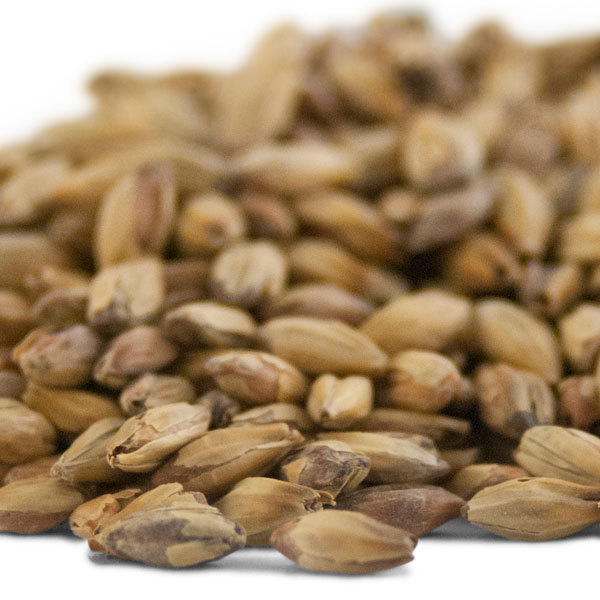 Briess Special Roast Malt | Great Fermentations